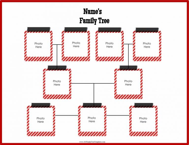 Free Family Tree Poster | Customize Online then Print at Home